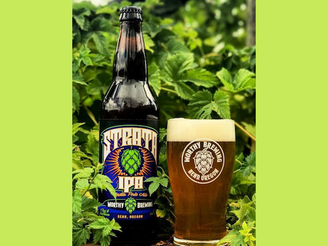 Worthy Brewing Bottles Award Winning Strata IPA • thefullpint.com